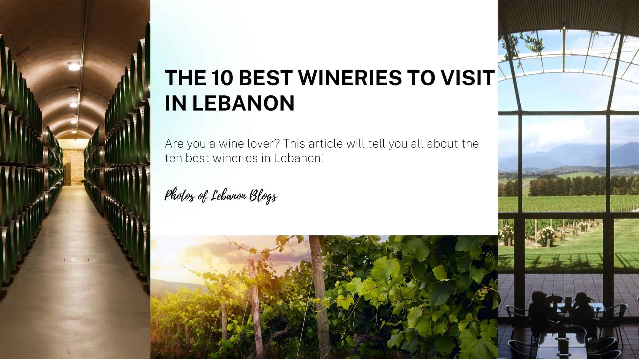 The 10 Best Wineries To Visit In Lebanon | Photos of Lebanon